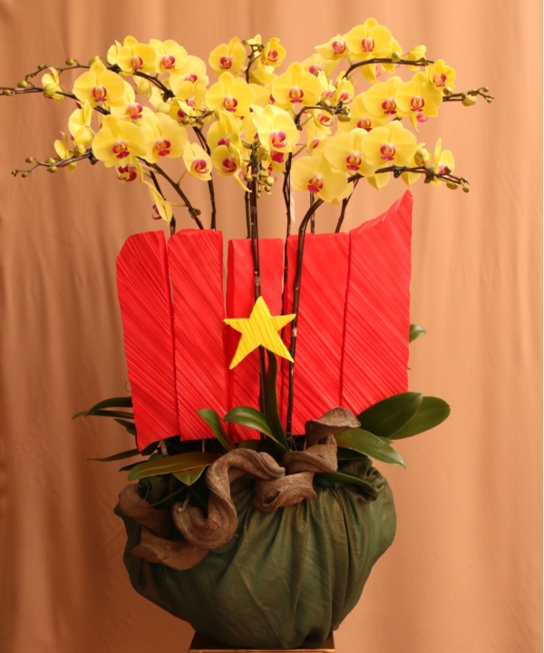 Lan chào mừng đại lễ 30/4